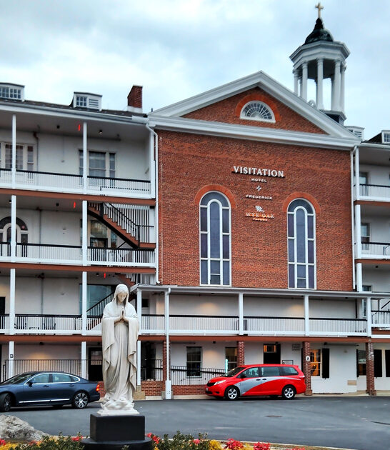 mouth watering swordfish maryland ftr