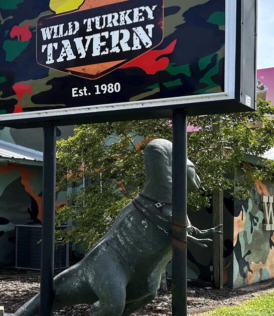 mouthwatering wings found florida ftr