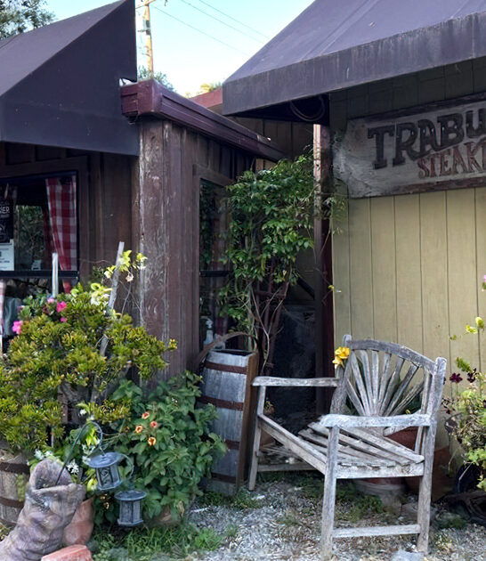 mud pie quirky california ftr