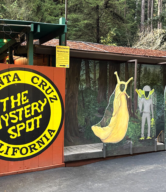 mysterious gravity house california ftr