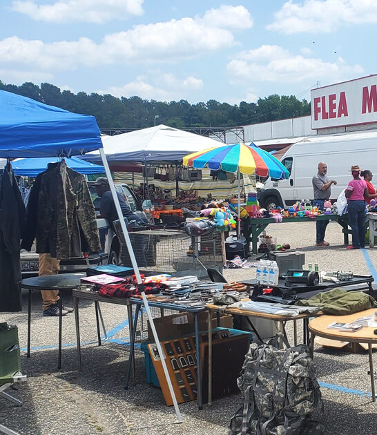 north carolina bargains good ftr