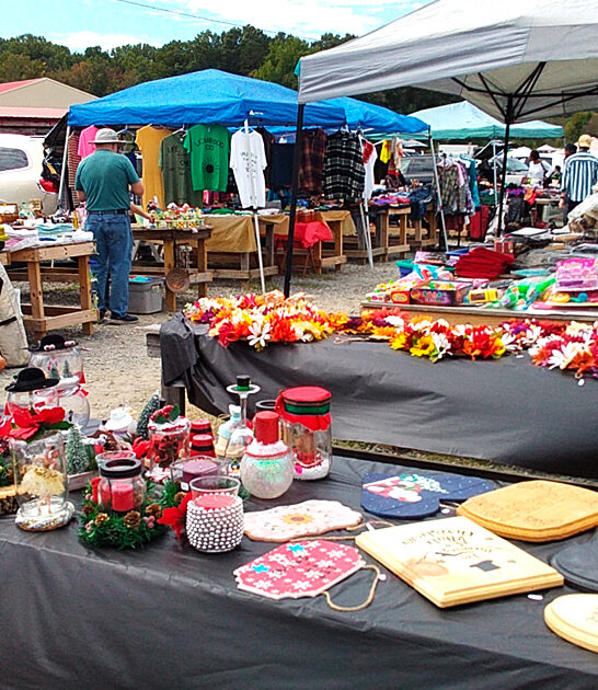 north carolina markets adventure ftr