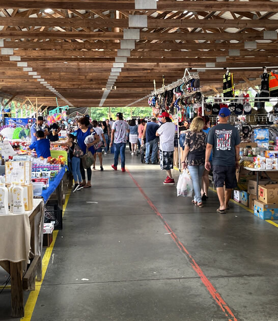 north carolina markets collector ftr