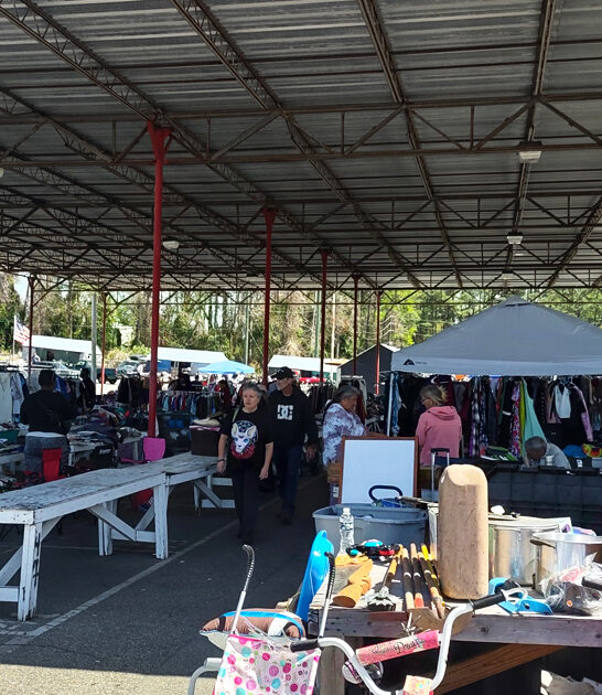 north carolina treasures rare ftr