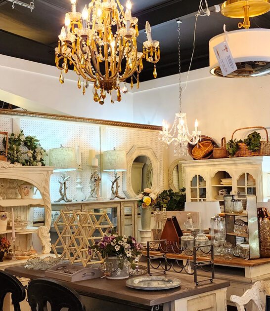 north carolina vintage discoveries ftr