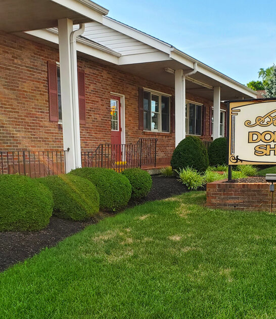 ohio bakeshop apple fritters ftr