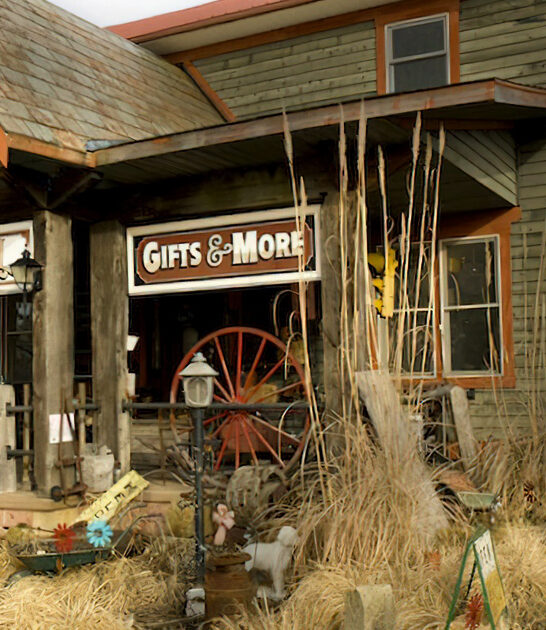 ohio collectibles shop experience ftr