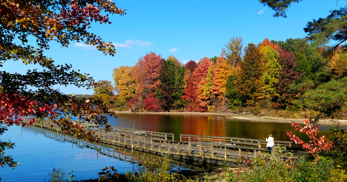 This Gorgeous State Park In Ohio Is So Hidden, Locals Don't Even Know ...