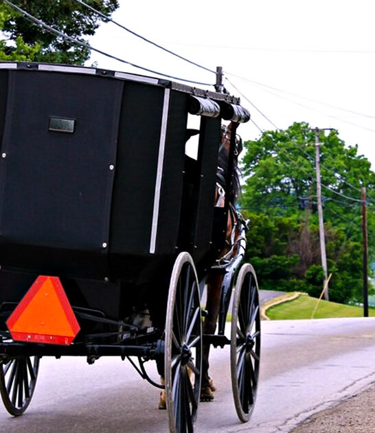 ohio historic village experience ftr