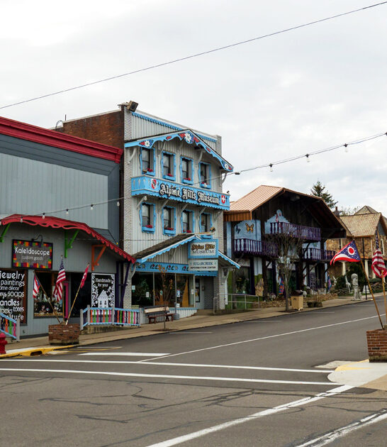 ohio largest cuckoo clock ftr