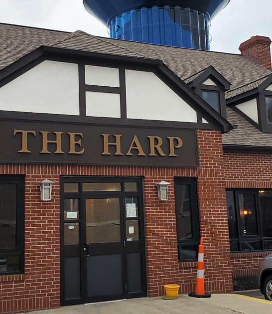 ohio locals fish chips ftr