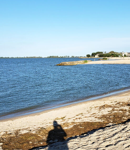 ohio nature park shoreline ftr