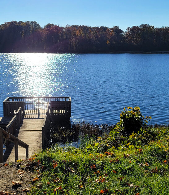 ohio state park surreal ftr