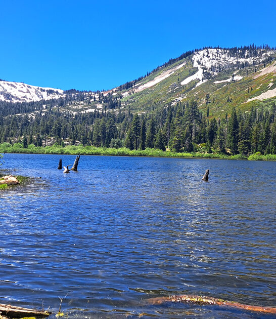 park california absolute trip ftr