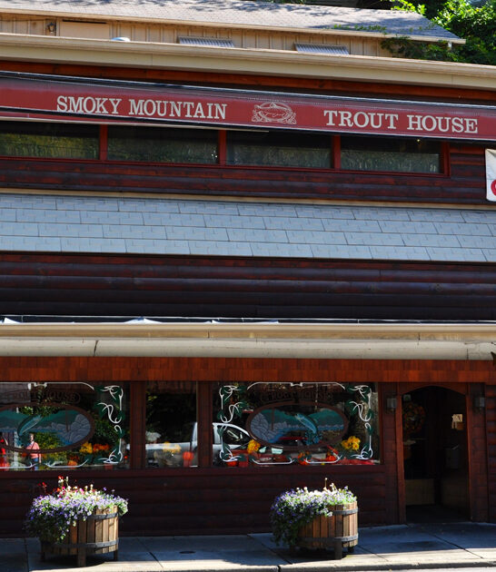 parmesan trout tennessee restaurant ftr