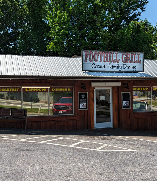 patty melt diner georgia ftr