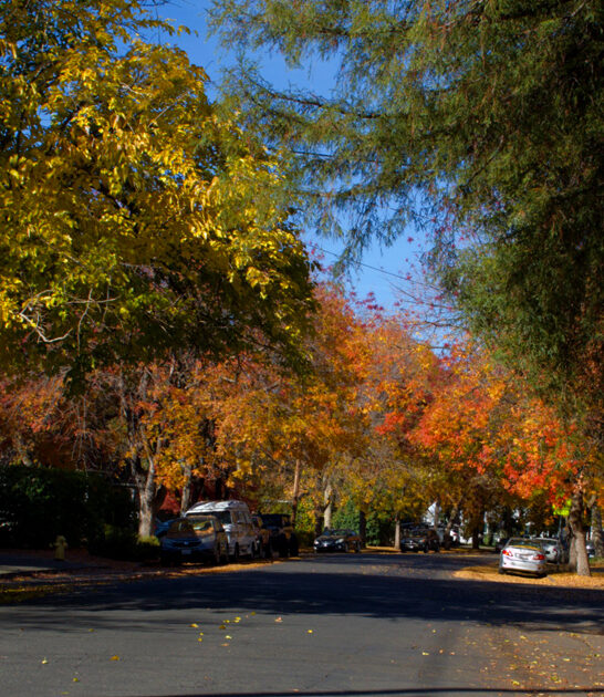 peaceful slow town california ftr
