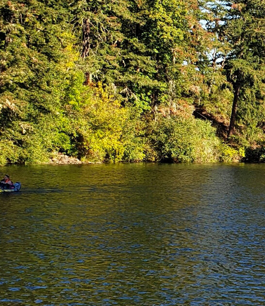 peaceful state park oregon ftr