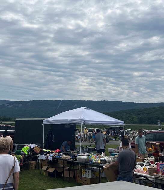 pennsylvania flea market bargains ftr