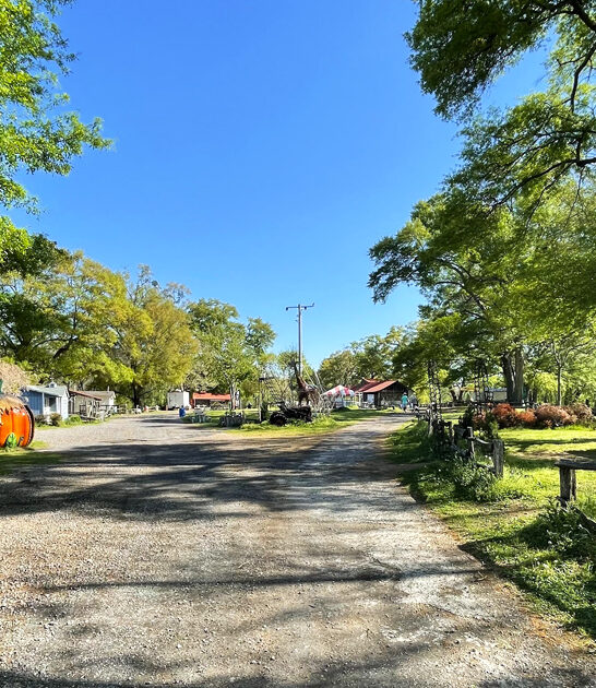 perfect fascinating farm georgia ftr