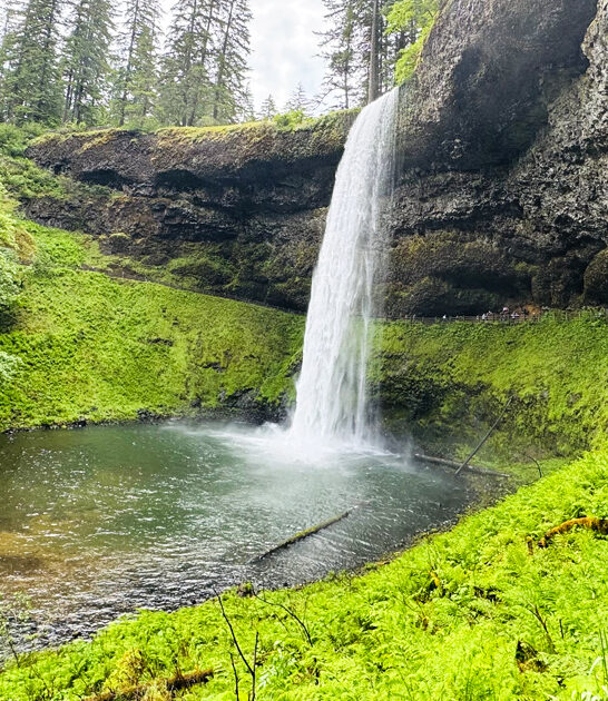 perfect scenic oregon park ftr