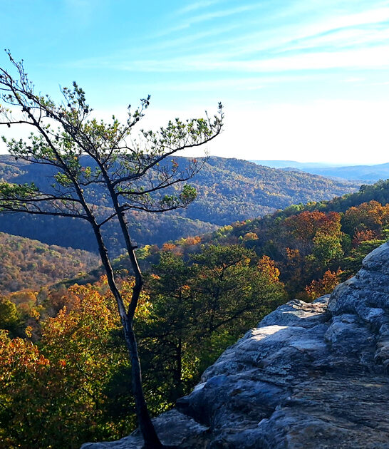 postcard worthy overlook tennessee ftr