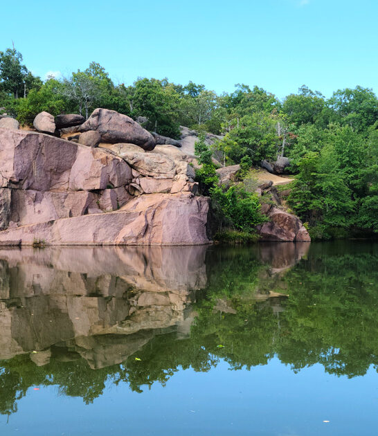 postcard worthy park missouri ftr