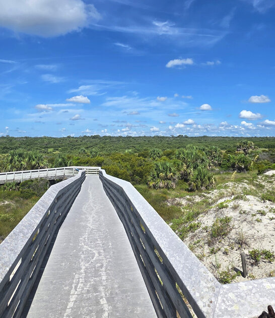 postcard worthy parks florida ftr