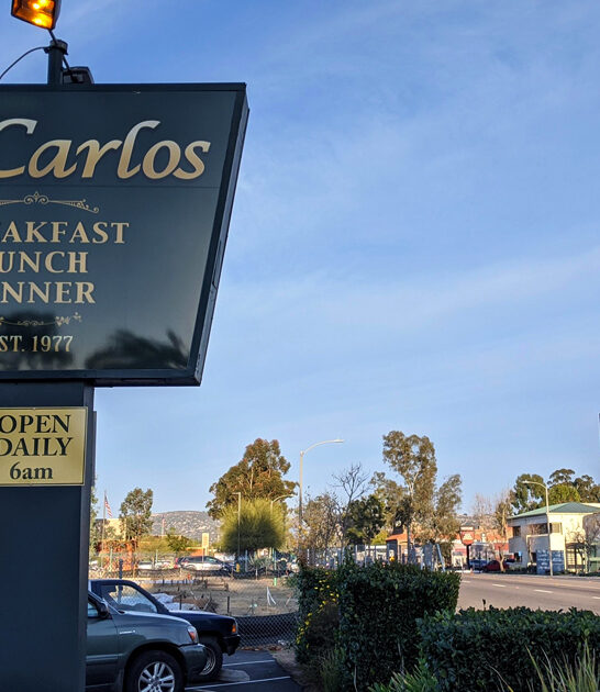 prime rib stroganoff california ftr