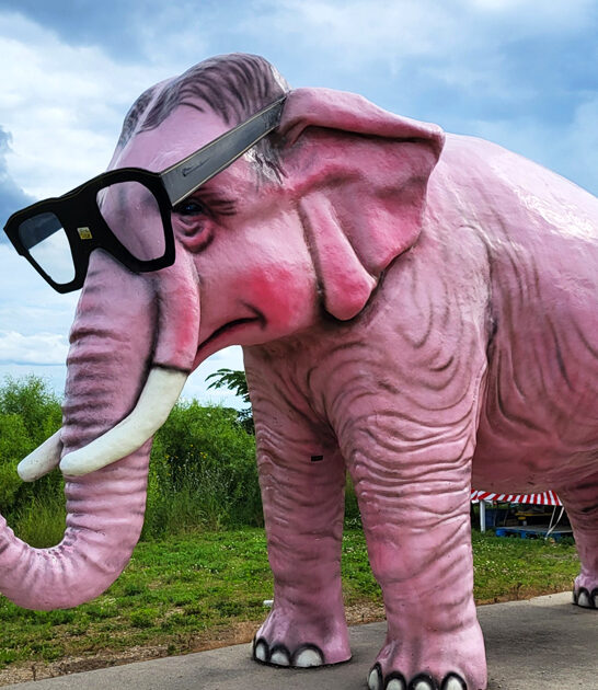 quirky roadside attraction wisconsin ftr