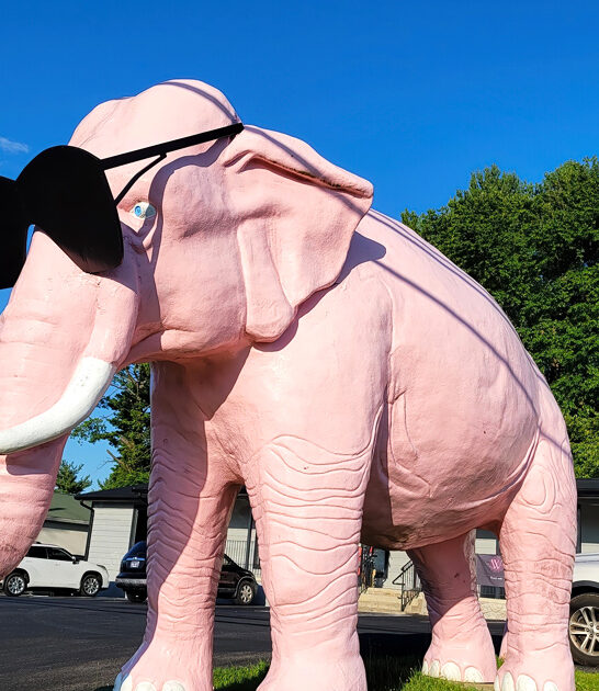 quirky roadside attractions tennessee ftr