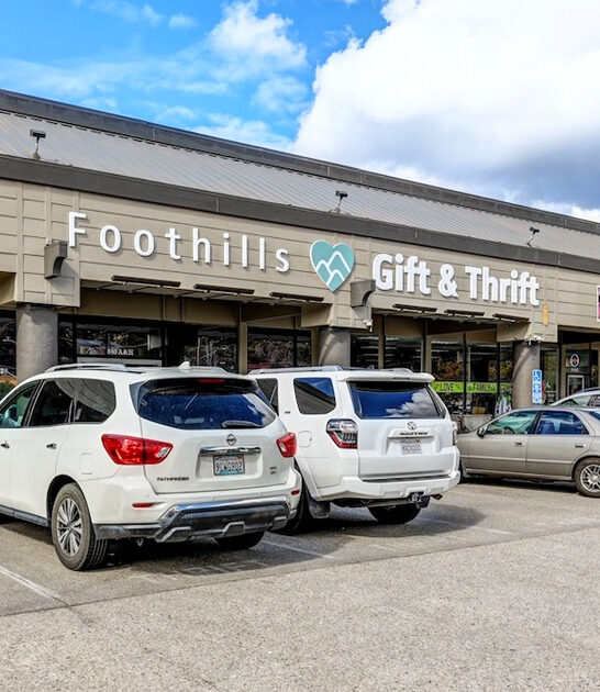 rare furniture thrift california ftr