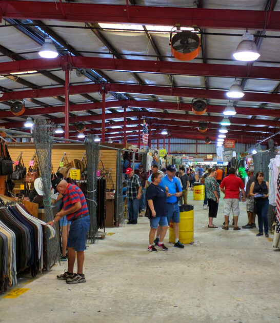 rare treasure market florida ftr