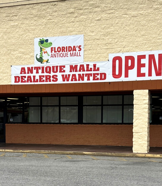 rare treasures store florida ftr