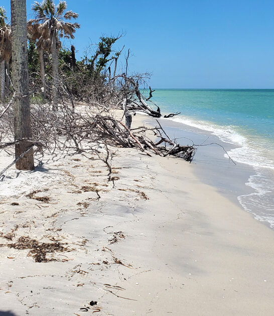 remote island florida love ftr