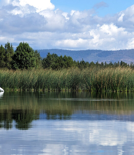 remote state california park ftr