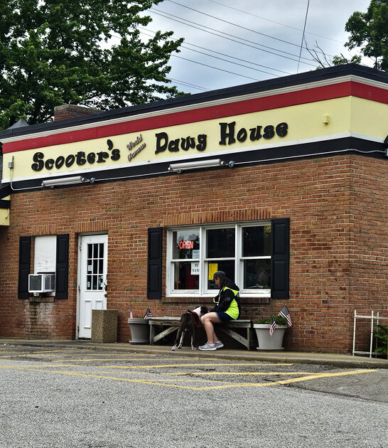 restaurant ohio best hotdogs ftr
