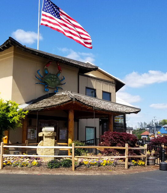 restaurants tennessee seafood simple ftr