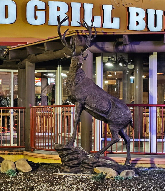 ribs buffet tennessee delicious ftr