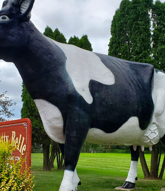 roadside attraction wisconsin quirky ftr