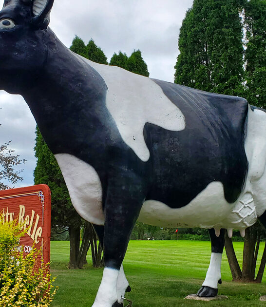 roadside attraction wisconsin weird ftr