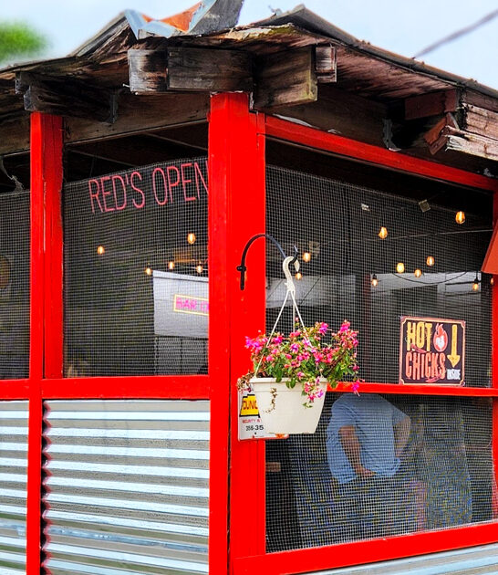roadtrip hot chicken tennessee ftr