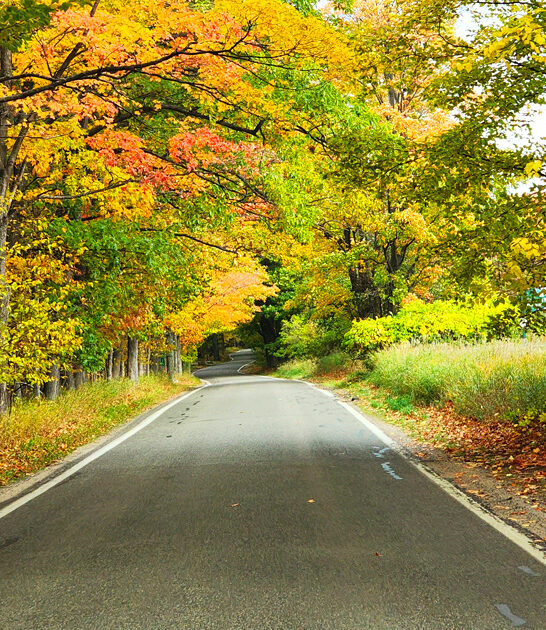 scenic drive michigan beautiful ftr