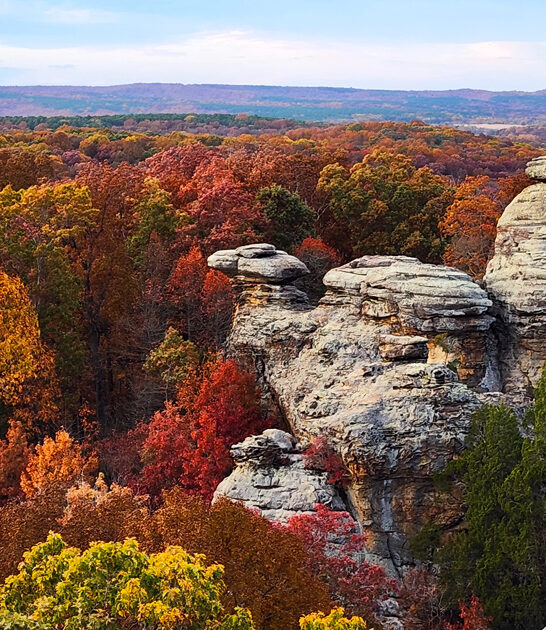 scenic national forest illinois ftr