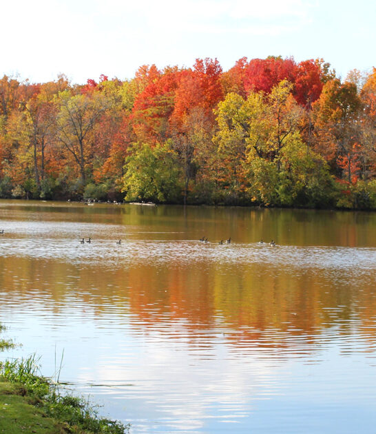 scenic ohio park state ftr