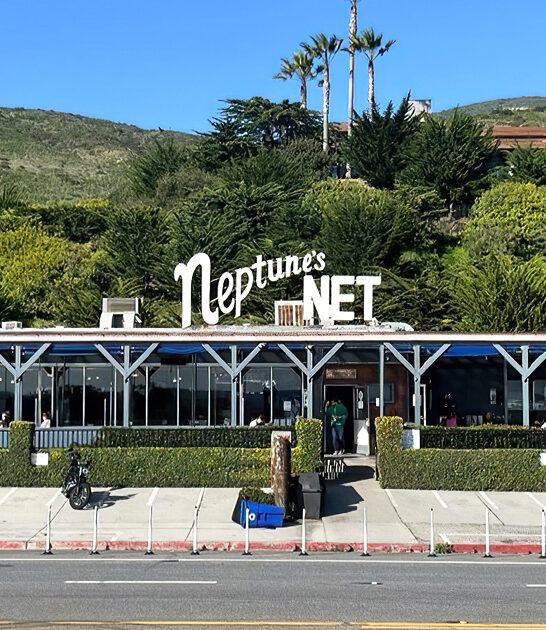 seafood california fish chips ftr