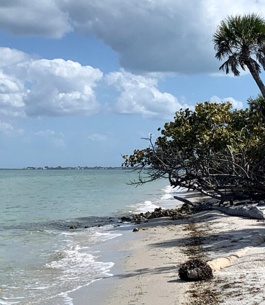 secret beaches florida locals ftr