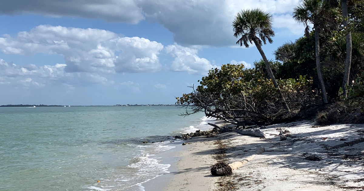 8 Secret Beaches In Florida Locals Want To Keep All To Themselves