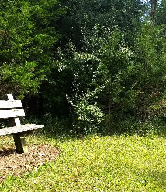 secret ohio park gem ftr