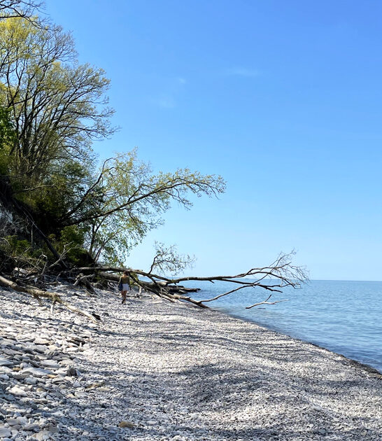secret state park ohio ftr